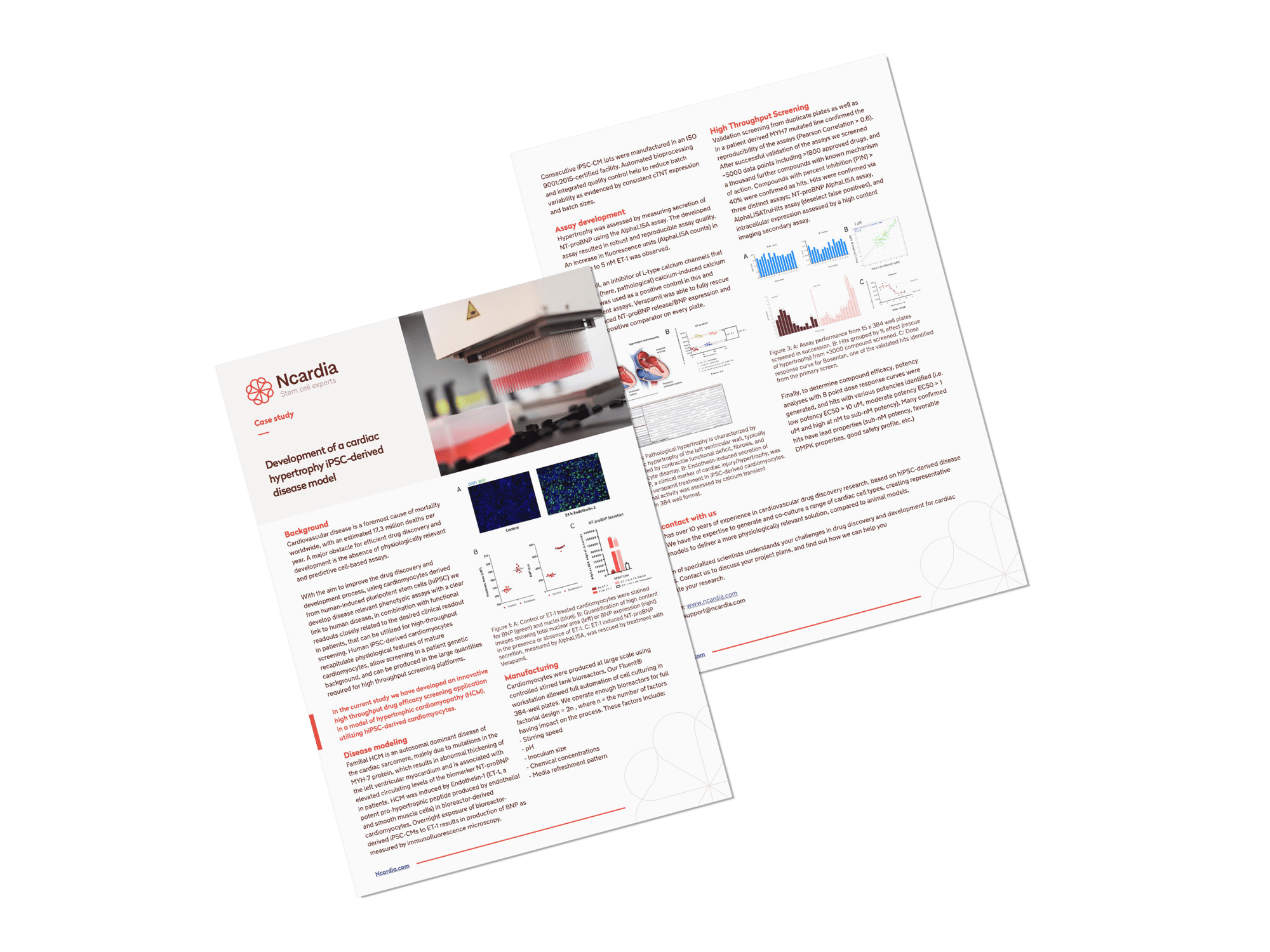 Case study: Development of a cardiac hypertrophy iPSC-derived disease model Case study: Development of a cardiac hypertrophy iPSC-derived disease model